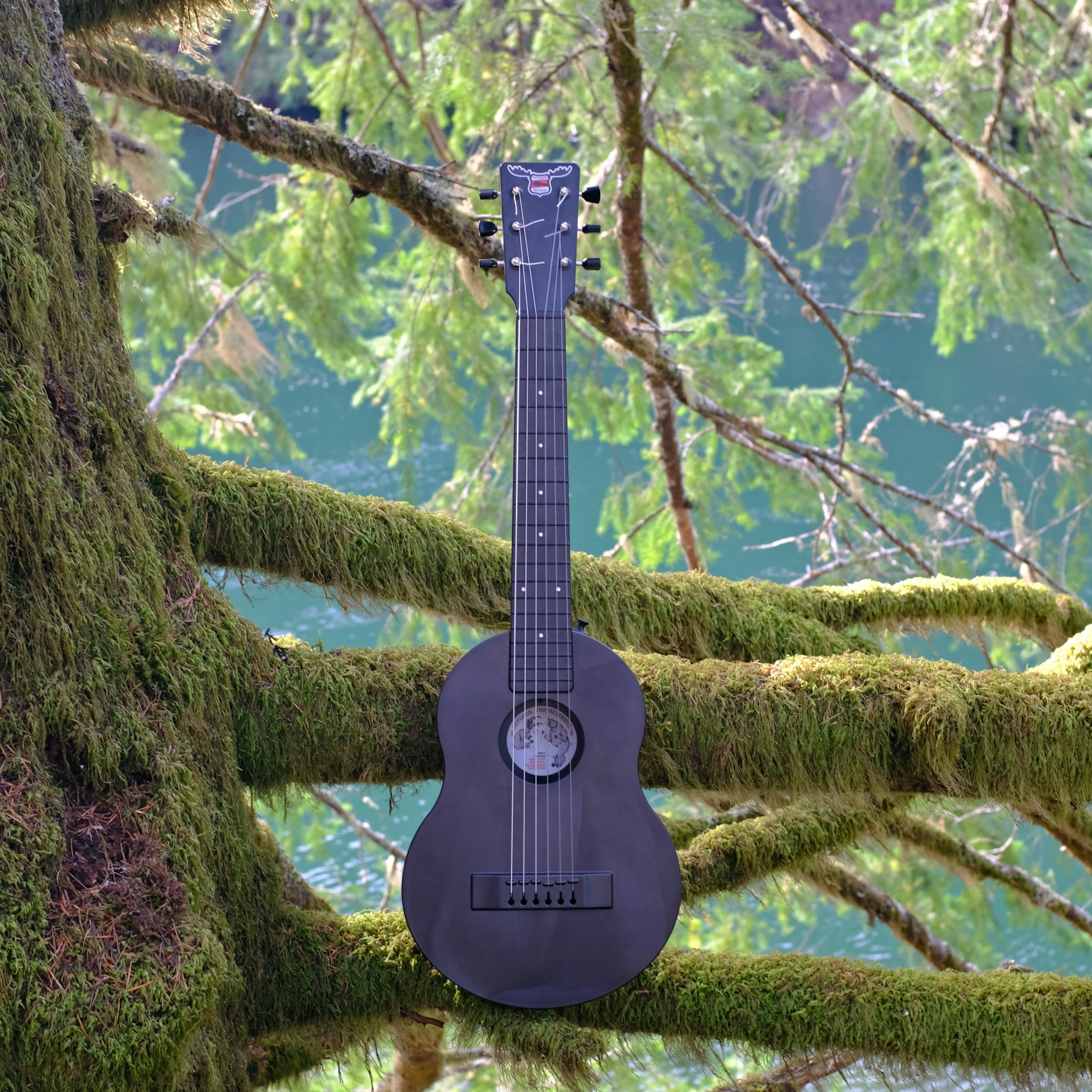 Outdoor Guitar™ Carbon Fiber - Outdoor Ukulele™